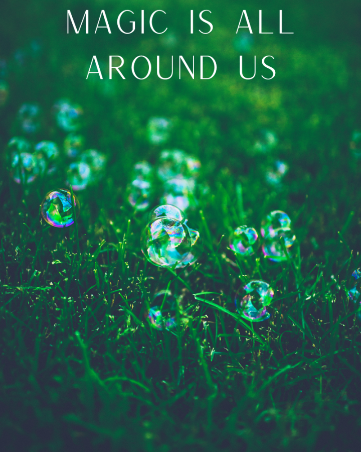 The Cozy Everyday Life - Finding magic in the mundane